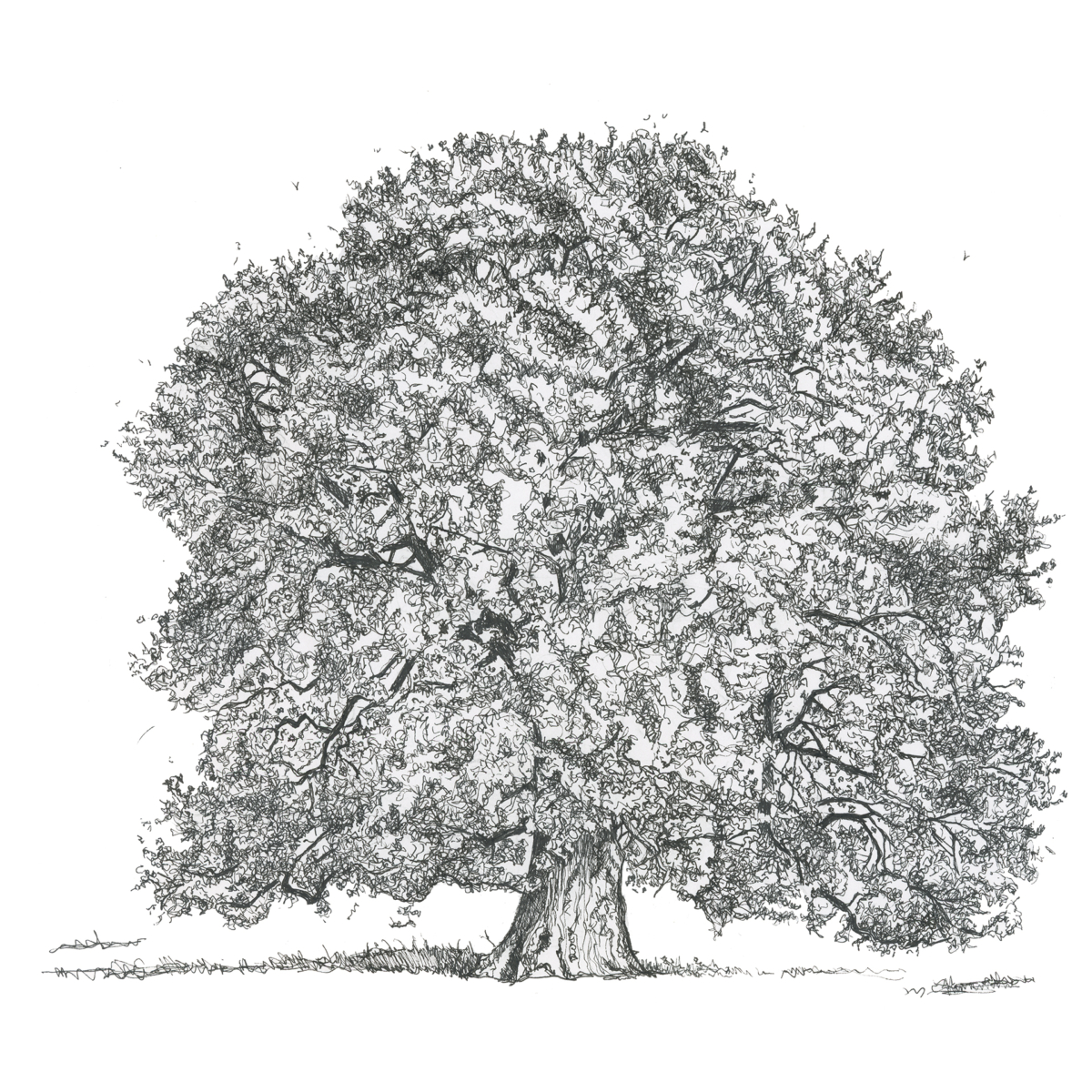 Creating a Bespoke Pattern for Fabrics and Wallpaper - Sally Brown Art